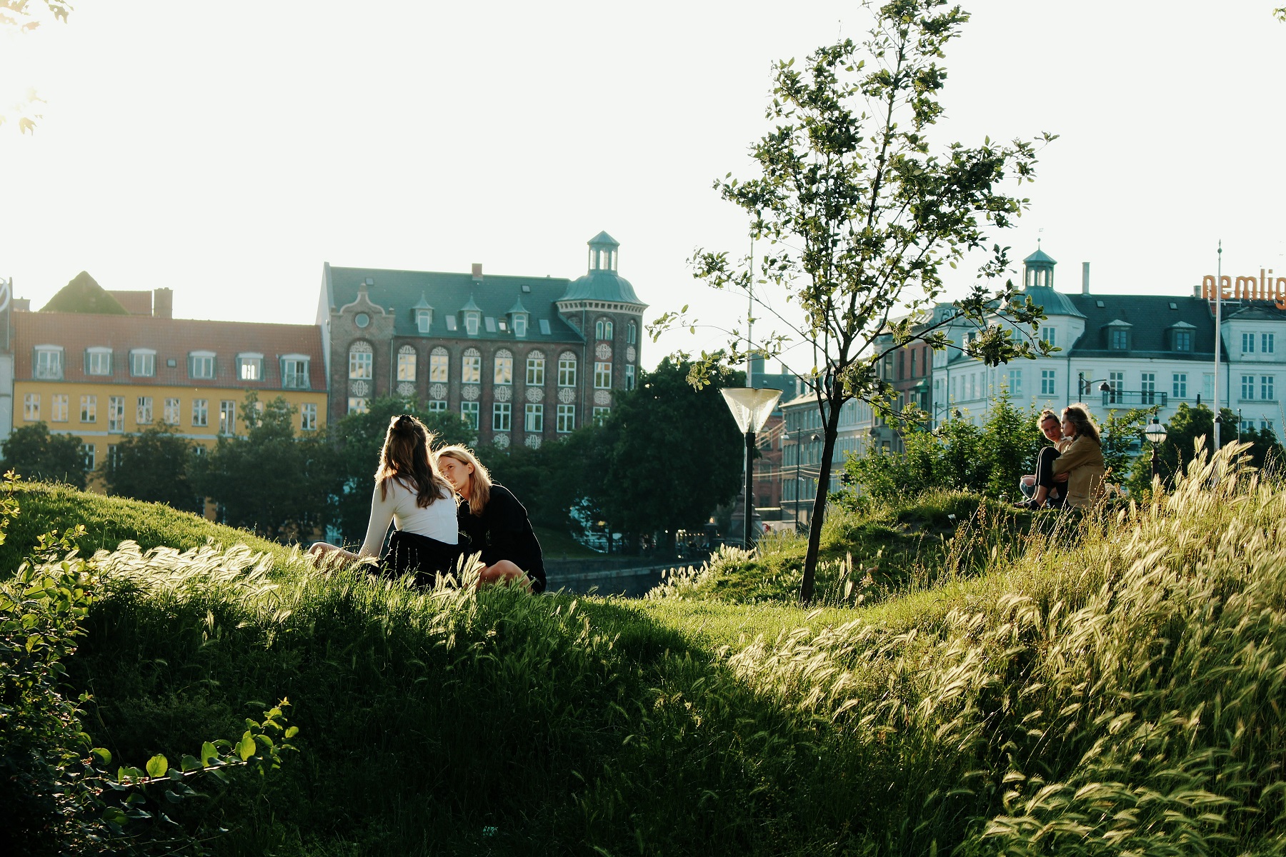 Forside - DTU Management